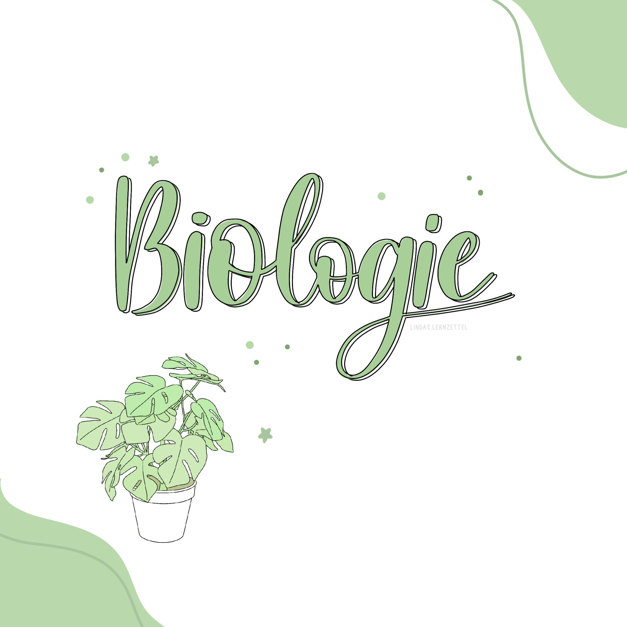 Deckblätter Design 3 - Lindas Lernzettel